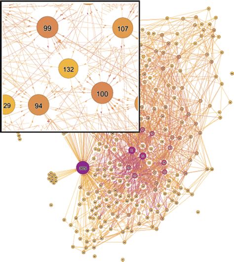 Pdf Gephi An Open Source Software For Exploring And Manipulating