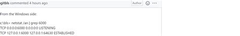 X Apps Running In WSL Randomly Stop Displaying On X Server In Windows Host Issue