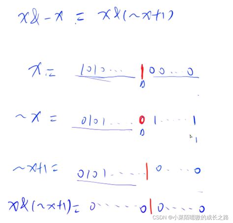 二进制操作与经典例题：计算1的个数 Csdn博客