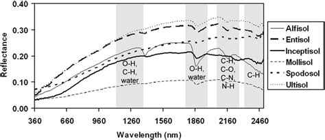 Diffuse Reflectance Curves Of Different Soil Orders Present In The Download Scientific Diagram