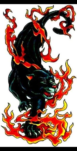 World Album On Imgur