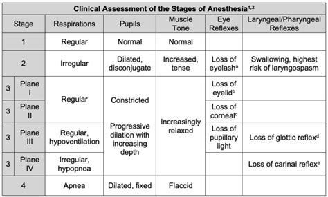 Stages Of General Anaesthesia Induction And Maintenance Of General