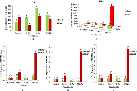Micronutrient Content Iron A And Zinc B And Mrna Expression Of