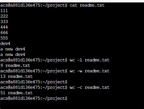 linux 笔记 7 管道，环境变量，常用命令 acwing