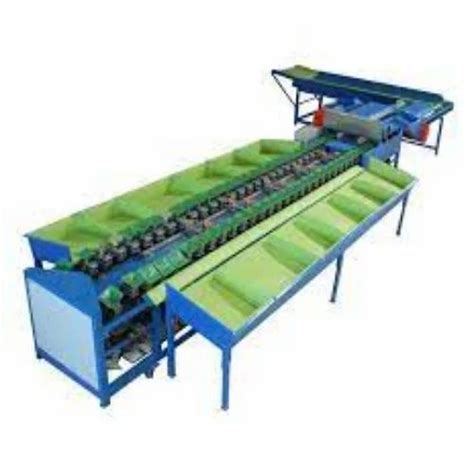 Fruit Grading Machine In Pune फलों की ग्रेडिंग मशीन पुणे Maharashtra Get Latest Price From