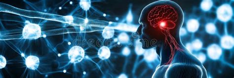 A Futuristic Visualization Concept Depicting The Complexities Of The Autonomic Nervous System