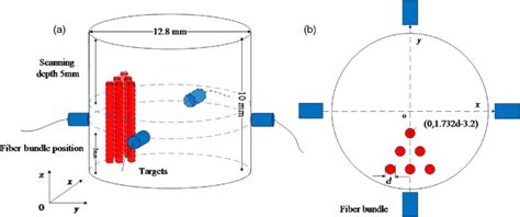 Phantom Geometry And Detectors Setup Used In The Numerical Simulations Download Scientific