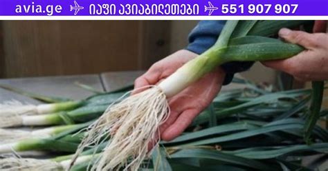 დაემშვიდობეთ დიაბეტს წამლებისა და ძალისხმევის გარეშე