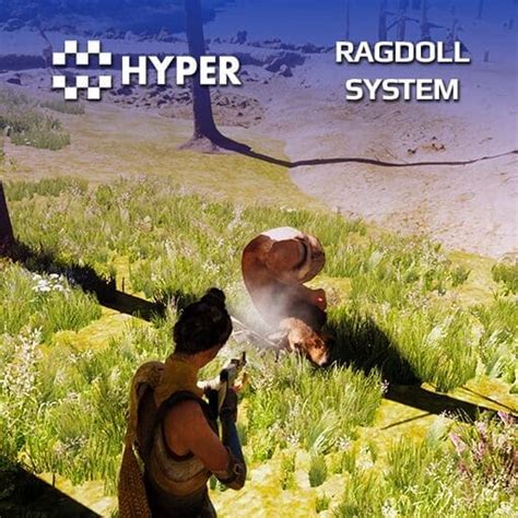 Ragdoll System Hyper