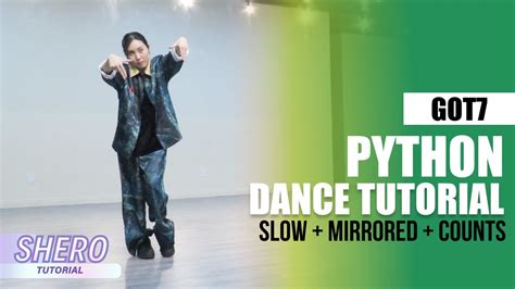 Got7 갓세븐 “python Dance Tutorial Slow Mirrored Counts Shero