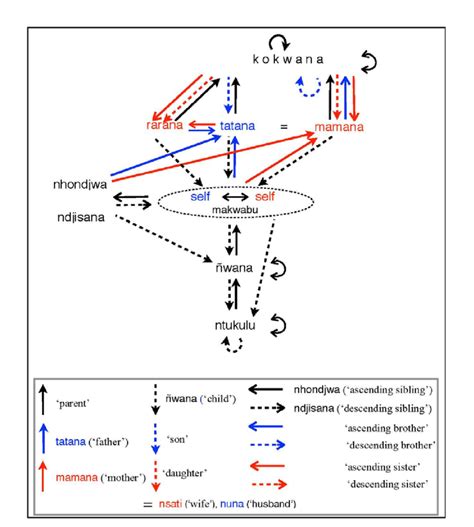 Kin Term Map Of The Thonga Terminology Based On Junod 1913 Table1 Download Scientific