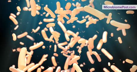 How Many Genes Make Up The Human Microbiome