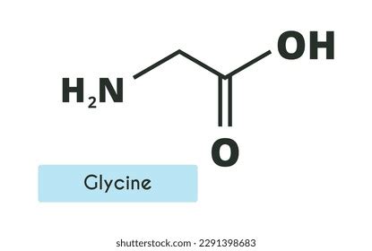 Struktur des Glyzinmoleküls. (Gly, G) Skelettformel.: Stock ...