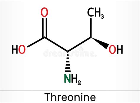 Threonine L Threonine Thr C4h9no3 Essential Amino Acid Molecule