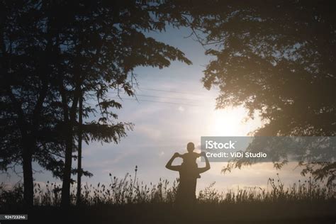 자연 일몰 나무 배경에 어깨에 아이 아기를 들고 여자의 실루엣 어머니는 작은 아이 아들 야외에서 함께 시간을 즐기고입니다 5 월 사랑 부모 어린이 개념의 가족 하루 15