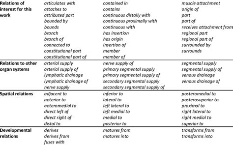 Relations Used With Classes Relevant To The Musculoskeletal System Download Scientific Diagram