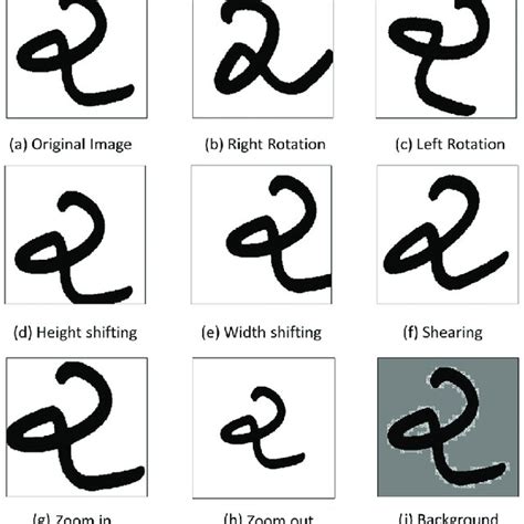 Sample Images After Applying Data Augmentation Techniques Download Scientific Diagram