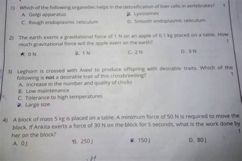 The Earth Exerts A Gravitational Force Of 1 N On An Apple Of 0 1 Kg Plac