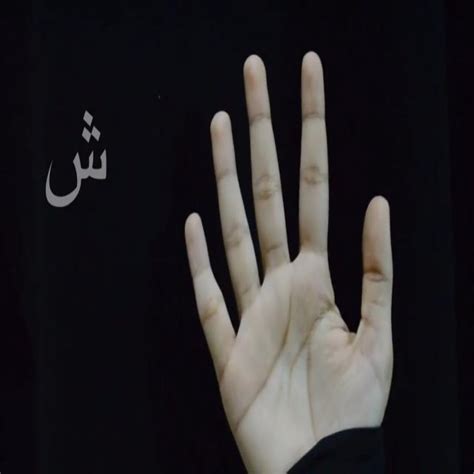 Arabic Sl Object Detection Model V19 2023 06 05 1 15pm By Omdena