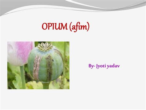 Opium Pptx