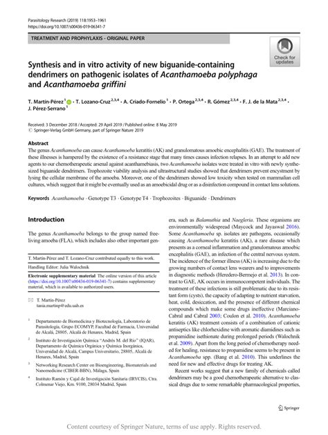 Synthesis And In Vitro Activity Of New Biguanide Containing Dendrimers