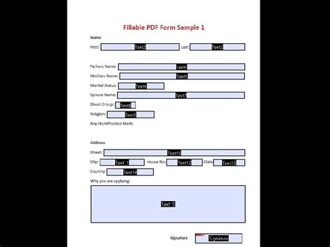 Professional Fillable Pdf Form Or Pdf Conversion Services Upwork