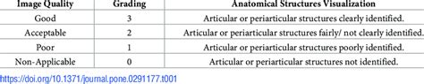 The Numerical Scoring System Used In The Ultrasonographic Image Quality Download Scientific