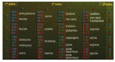 17 Comment Crée T On Un Nouvel être Vivant
