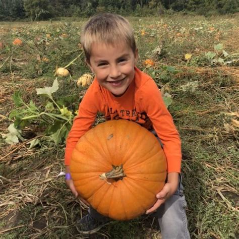 Pumpkin Picking In London Ontario Kustermans