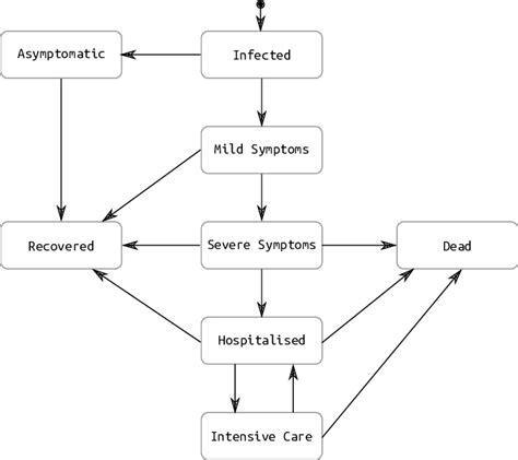Pathways For The Infection Progression And Possible Outcomes