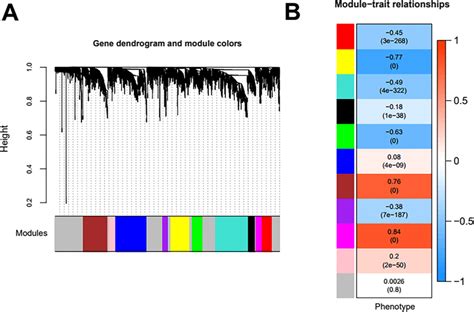 A Module Partitioning Tree Diagram Each Color Represents A Different