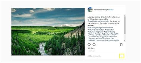 Adding Embedding Instagram Content On WordPress WP Engine