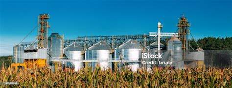 현대 그래 너 리 곡물 건조 복잡 한 상업 곡물 또는 맑은 여름 시골 풍경에 종자 사일로 옥수수 건조 기 사일로 내륙 곡물 터미널 밭에 서 있는 곡물 엘리베이터 0명에 대한