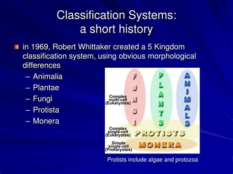 Ppt Prokaryotic And Eukaryotic Classification And Identification Powerpoint Presentation Id394352
