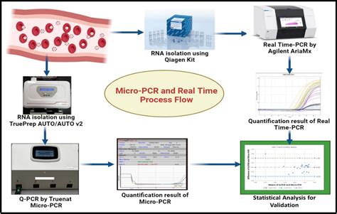 Flow Chart Of Methodology For Micro PCR And Real Time PCR Blood Download Scientific Diagram