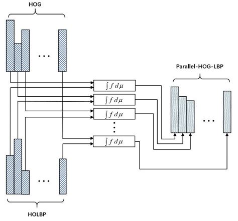 Feature Fusion Of Hog And Holbp By Choquet Integral Download