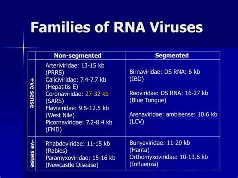 Ppt Reverse Genetics Of Rna Viruses Powerpoint Presentation Id 254190