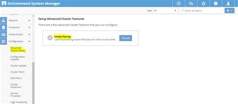 remote infrastructure management ontap 9 3 advanced cluster setup