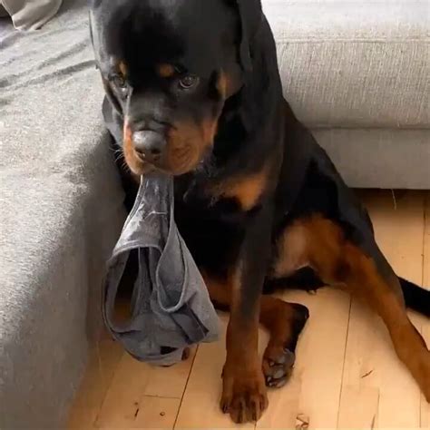 Willem Pierre Coetzee Posted On Linkedin