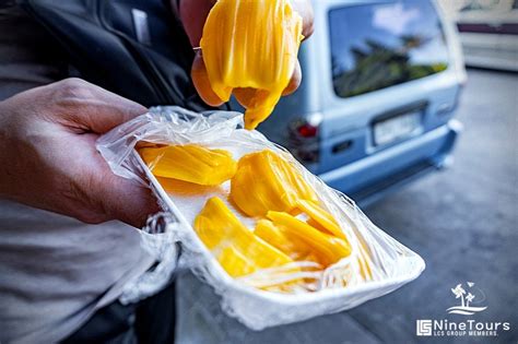 마닐라투어 화산과 푸른 전망의 도시 따가이따이 추천 여행 코스 네이버 블로그