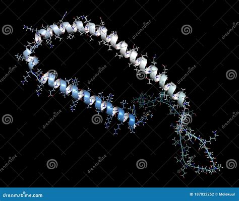 Alpha Synuclein Protein May Play Role In Parkinson S And Alzheimer S