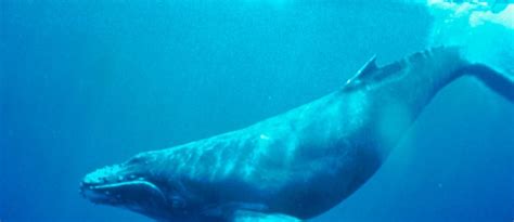 Isolated Feature Testing In A Sitecore Docker Container Rob Habraken Sitecore