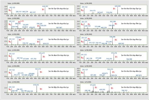 MSn Analysis Of Nonderivatized And Mtpp Derivatized Peptides Secrets Of Science