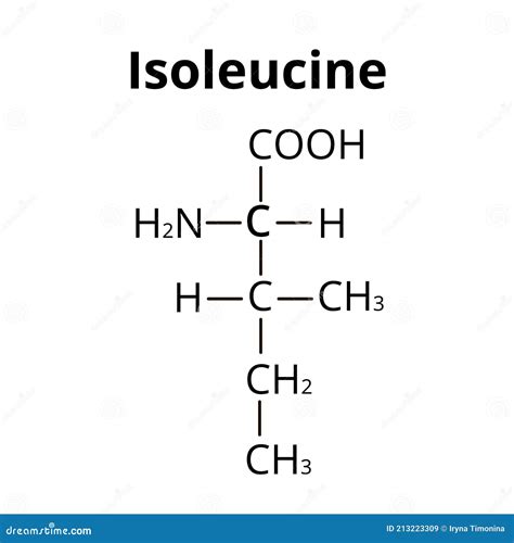Isoleucine Amino Acid Chemical Molecular Formula Isoleucine Amino Acid Vector Illustration On