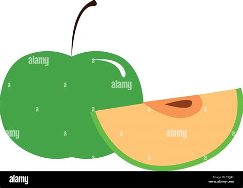 A Green Apple With A Stem One Slice With Seed Vector Color Drawing Or Illustration Stock
