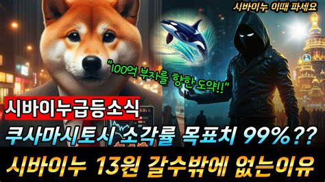시바이누 코인 쿠사마 시토시 소각률99 목표 발표로 시바이누 급등가능성 9999 비트코인 시바이누코인 도지코인 이더리움 리플 솔라나 Youtube