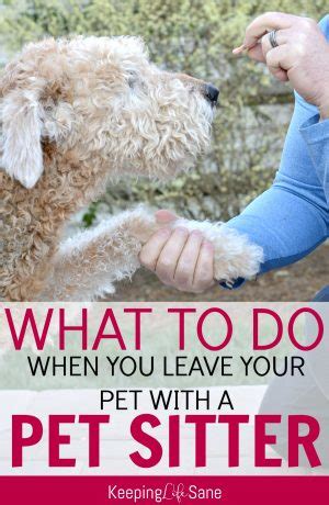 Pet Sitter Checklist With Free Printable Keeping Life Sane