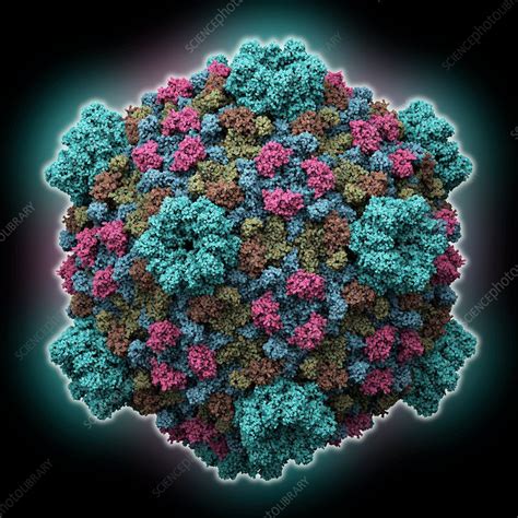Cytoplasmic Polyhedrosis Virus Cpv Stock Image C0355821