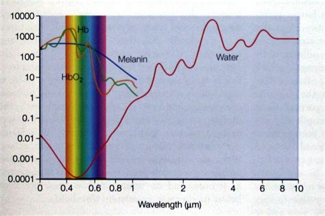 Absorbtion Spectra Skin Dr