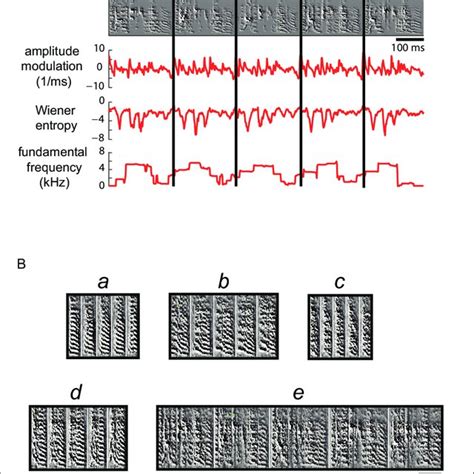 Multiple Acoustic Features Were Used To Cluster Syllable Types A